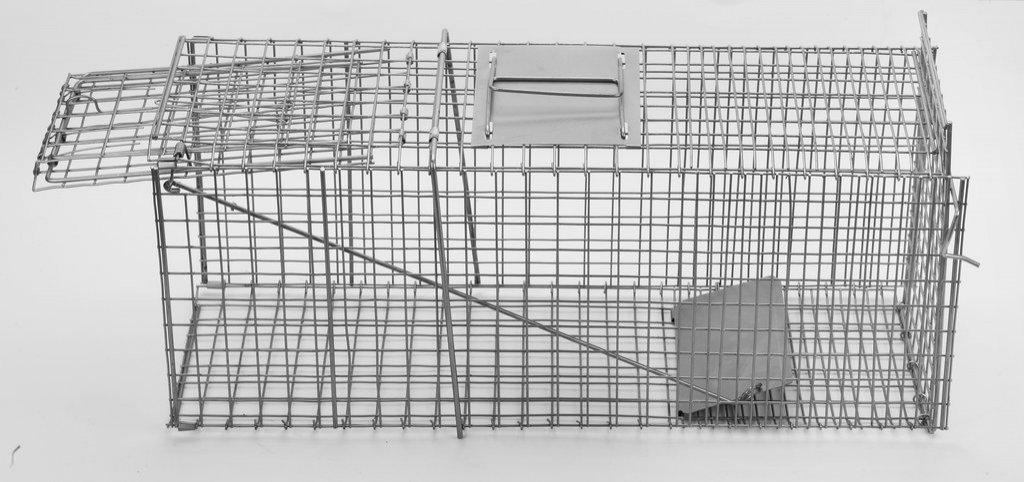 Possum Cage Traps