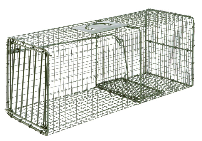 Possum Cage Traps
