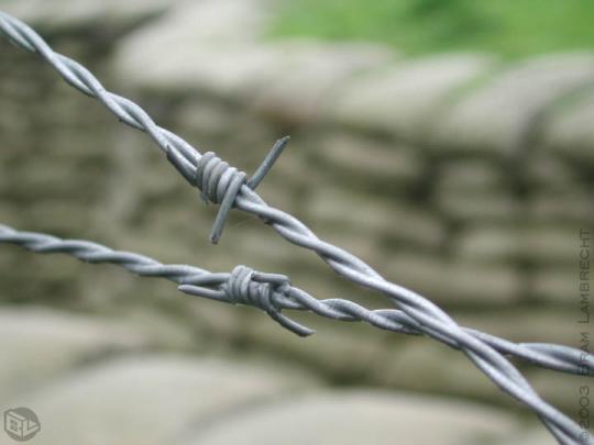 Barbed Wire